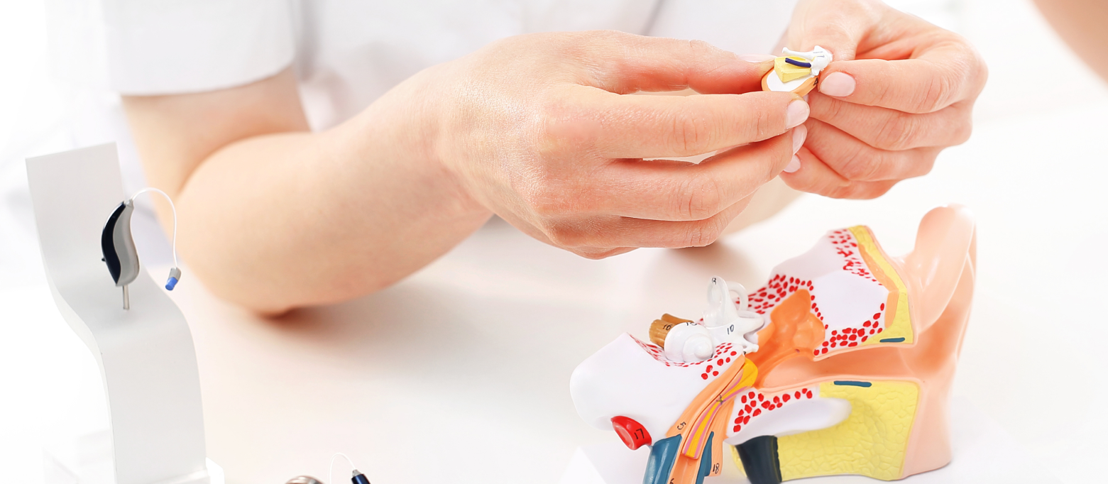 The Australian College of Audiology – Australian College of Audiology ...